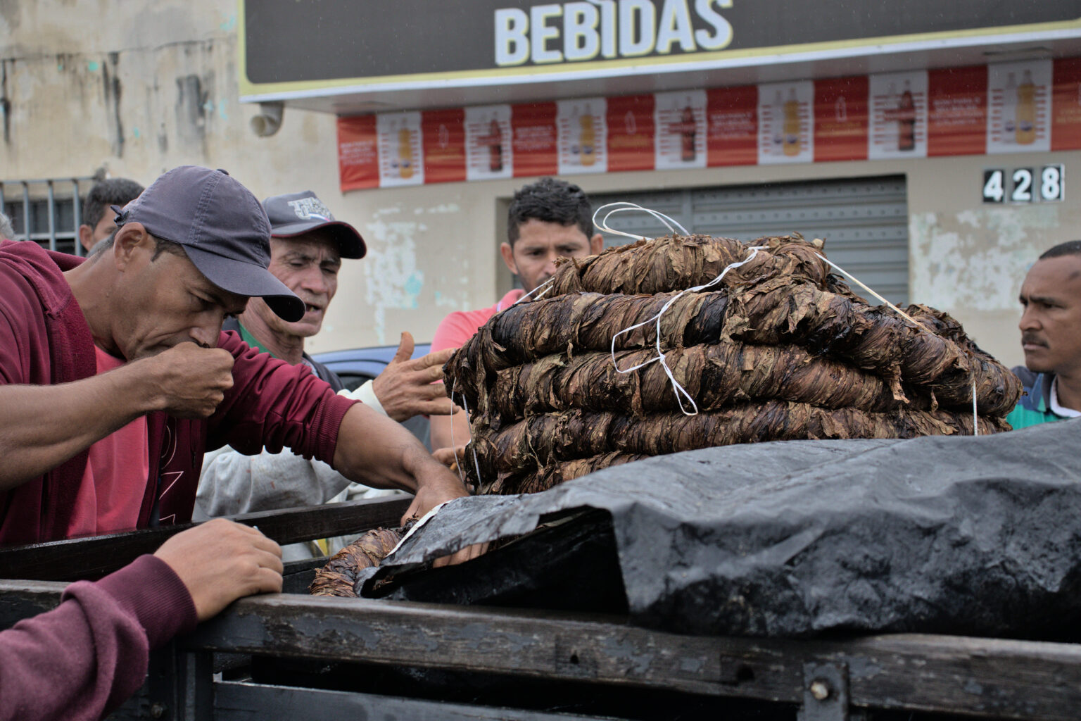 Como vivem os plantadores de fumo de rolo em Alagoas