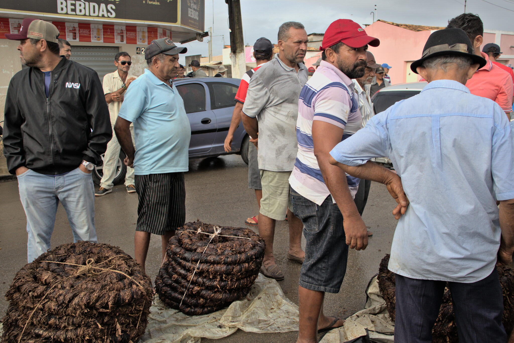 Como vivem os plantadores de fumo de rolo em Alagoas