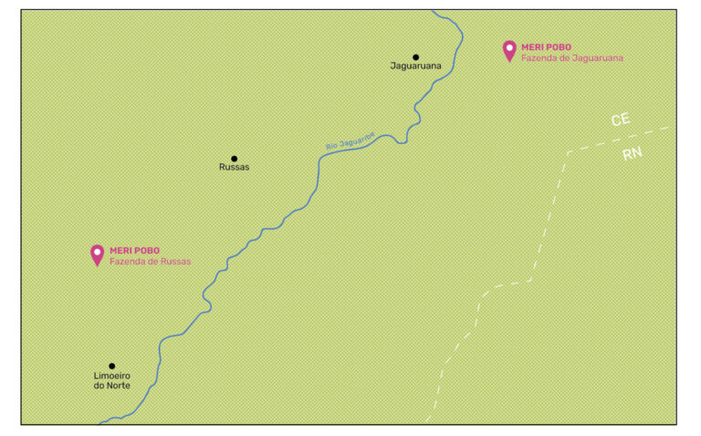 Empresa de orgânicos Meri Pobo se vende como sustentável, mas é ...