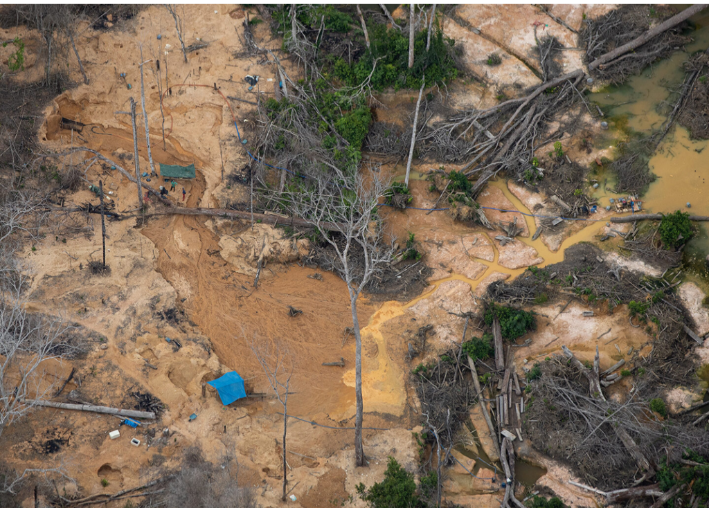 Yanomamis: para erradicar em 6 meses o garimpo - Outras Palavras